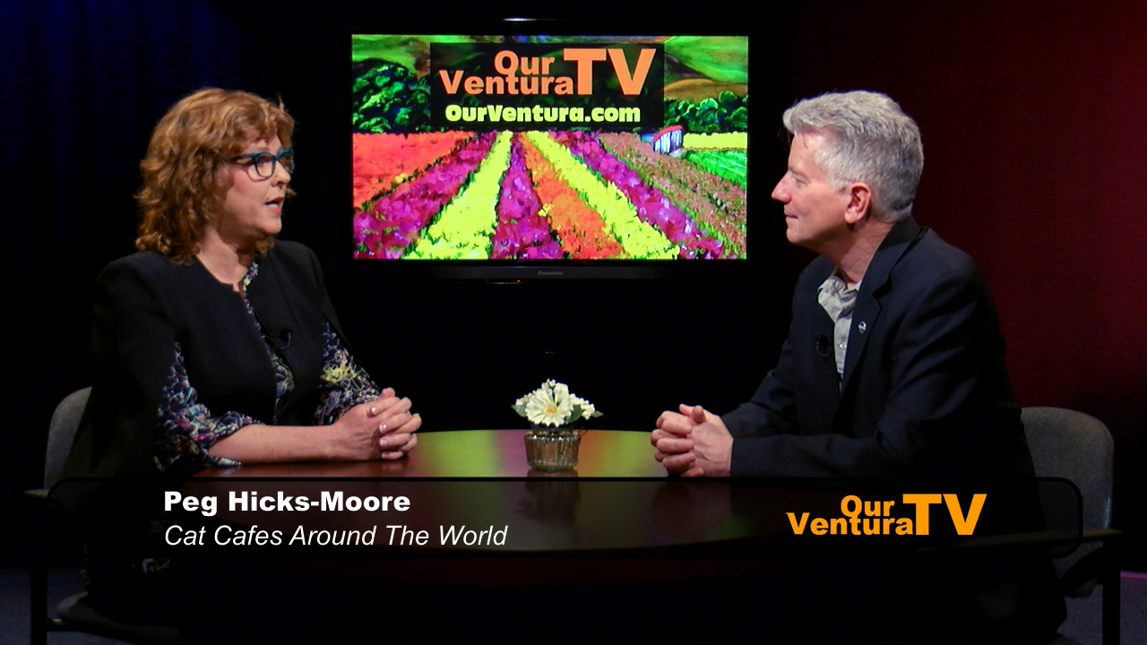 Cat Cafés Around The World – Our Ventura TV
